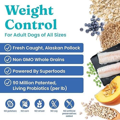 Solid Gold מזון לכלב דיאטטי - אלסקן פולוק 11 ק''ג